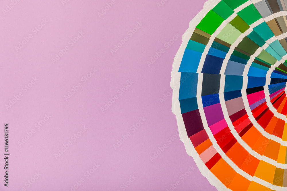 Color palette on a bright colored background. Color palette guide ...