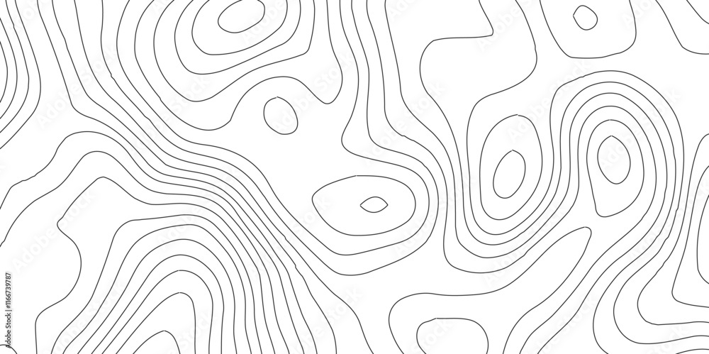 Abstract Blank Detailed Topographic Contour Map Subtle White Vector ...