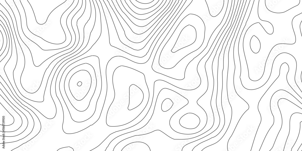 Abstract Blank Detailed Topographic Contour Map Subtle White Vector ...