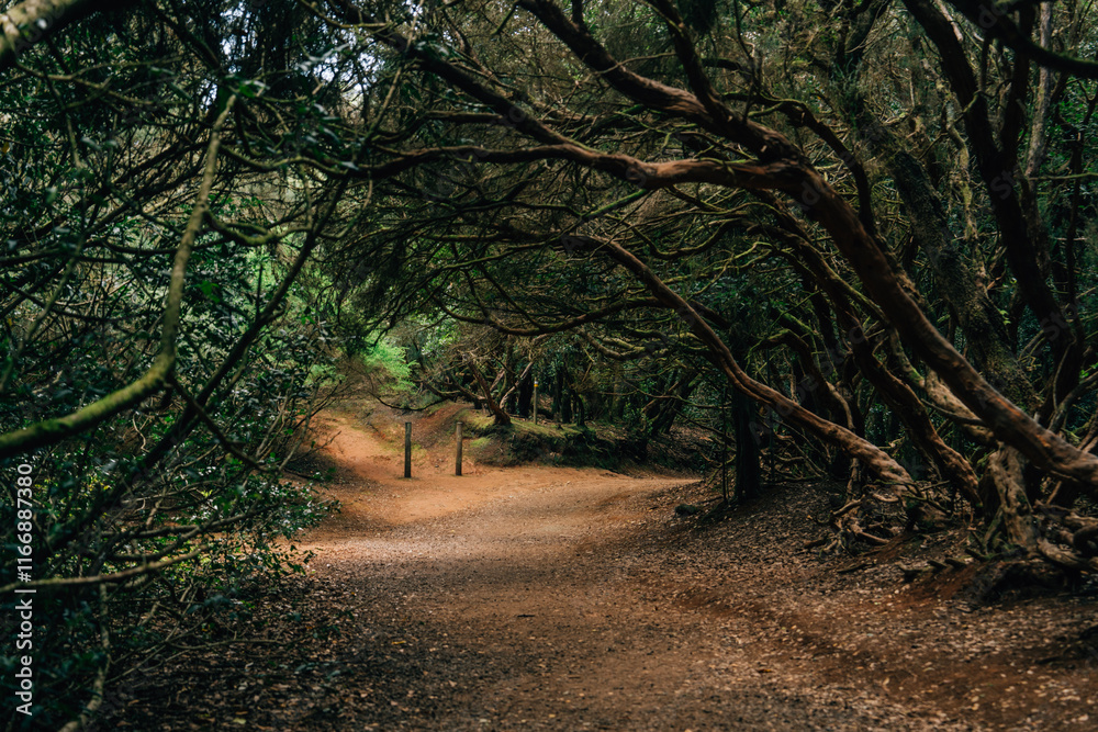 The Sendero de los Sentidos (Path of the Senses) offers a magical ...