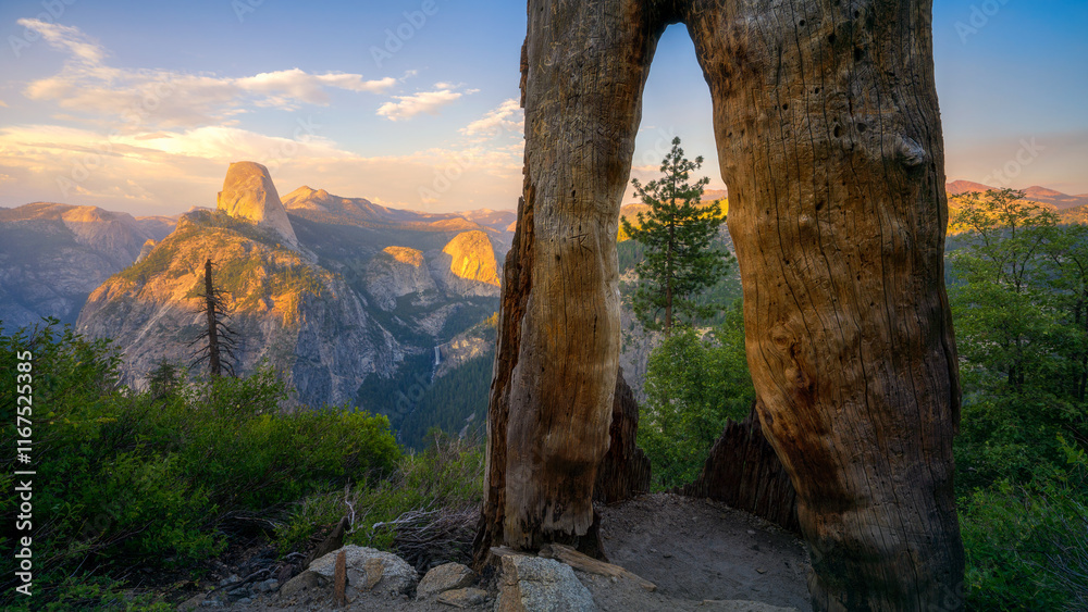 beautiful sunset over half dome through a hole in a tree in yosemite ...