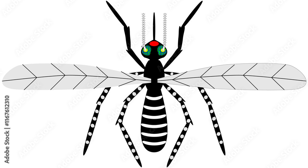 Reino animaal insecto zancudo nombre cientifico Aedes aegyptis o ...