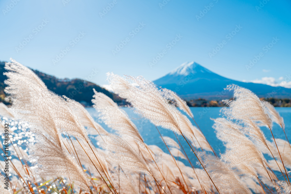 Fuji Mountain In Japan Beautiful Tourist Attractions That Show The fuji-mountain-in-japan-beautiful-tourist-attractions-that-show-the