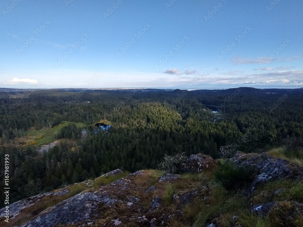 Victoria BC from a mountain elevation in a provincial park with many ...