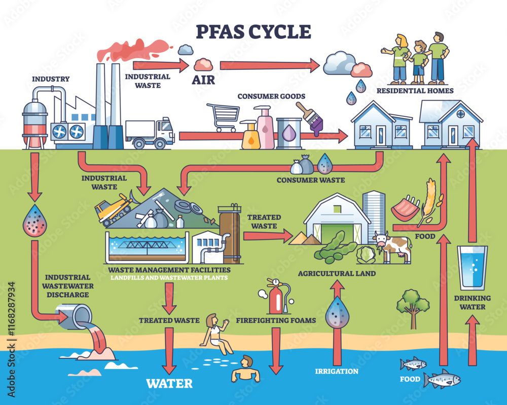 PFAS cycle shows pollution flow from industry to water and food. Key ...