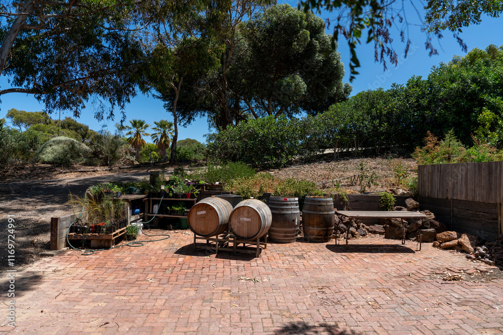 Coriole Vineyards: A Serene Blend of Heritage and Viticulture in ...