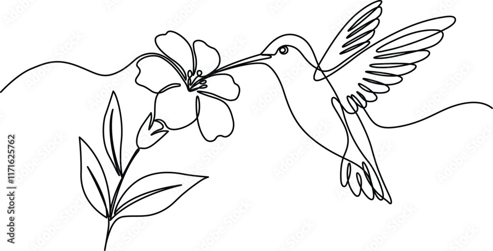 Continuous line drawing. Drawing of hummingbirds on flowers isolated on ...