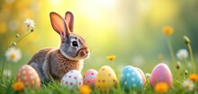 Happy Eastertide Bunnies Eggs Free Stock Photo - Public Domain Pictures