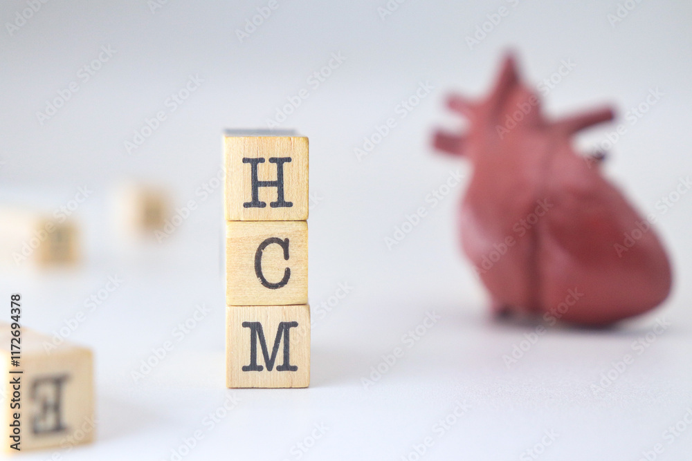 HCM letters written on wooden blocks isolated with heart on white ...