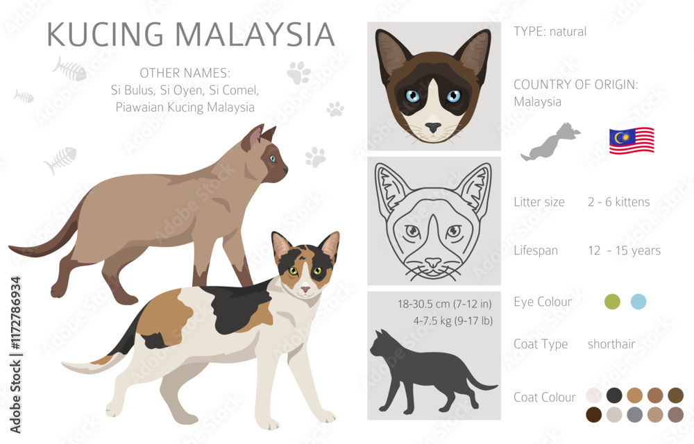 Kucing Malaysia cat clipart. All coat colors set. All cat breeds ...