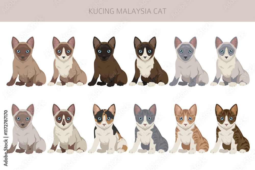 Kucing Malaysia cat clipart. All coat colors set. All cat breeds ...
