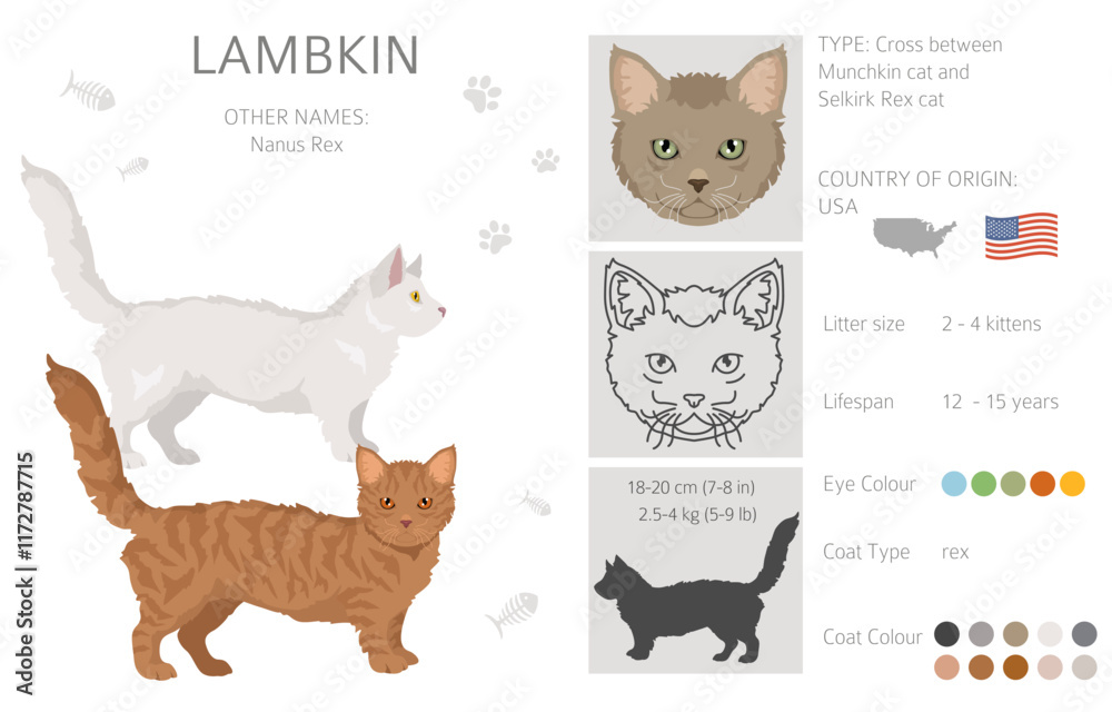 Lambkin Cat clipart. All coat colors set. All cat breeds ...