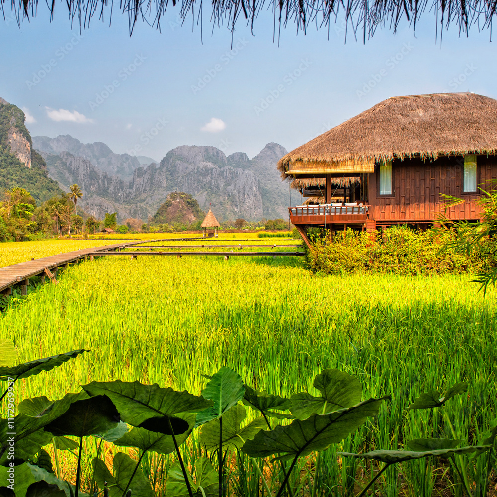 Rice farm and plantation, Van Vieng, Nam Song River, Laos. Agricultural ...