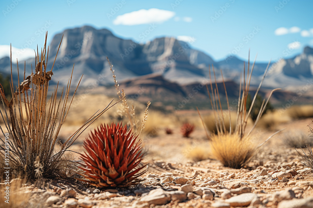 Arizona desert is known for its stunning natural features, including ...