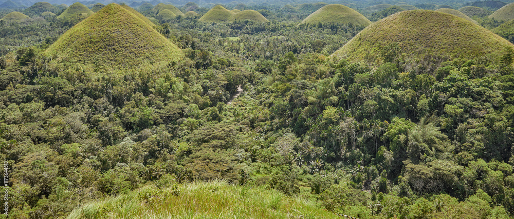 Chocolate Hills, a famous tourist attraction of Bohol Island ...