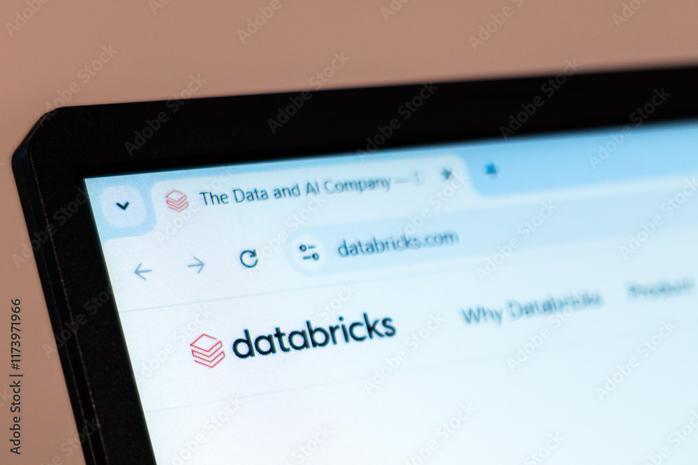 New York, USA - January 01, 2025: Databricks website homepage for data engineering, machine ...