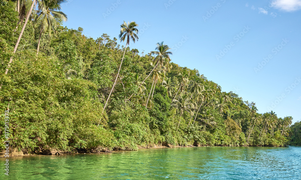View of the Loboc river, one of the main destinations on Bohol Island ...