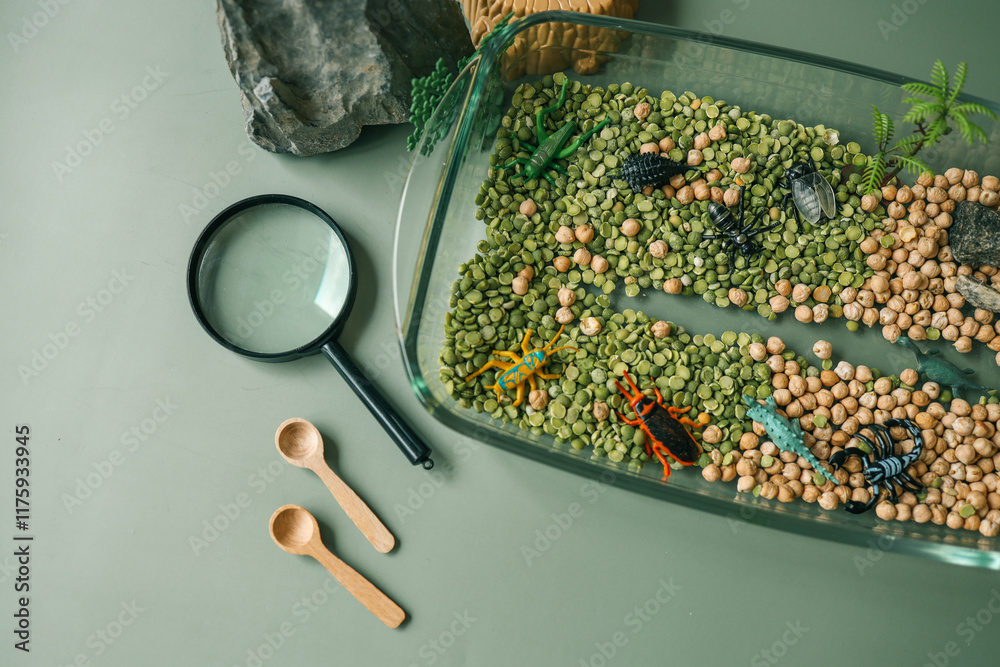 Educational sensory play setup for kids featuring plastic insects ...