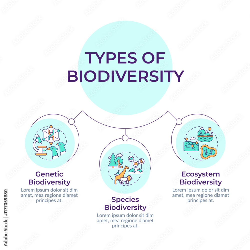Types of biodiversity circular diagram infographic. Various ecosystems ...