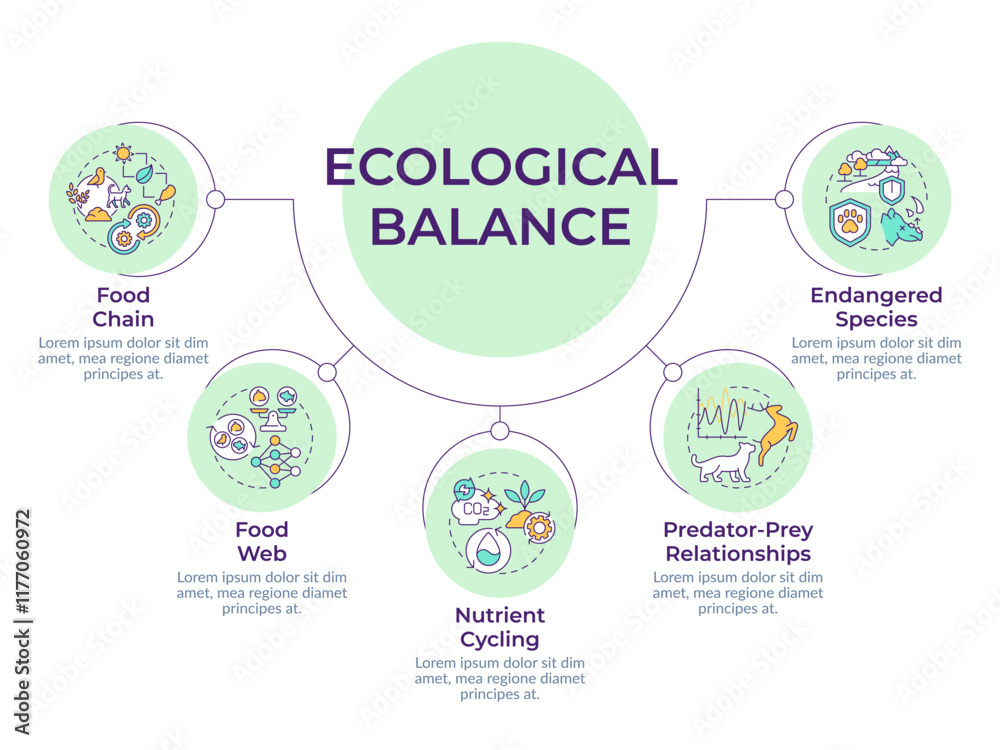 Ecological balance circular diagram infographic. Food chain. Predator ...