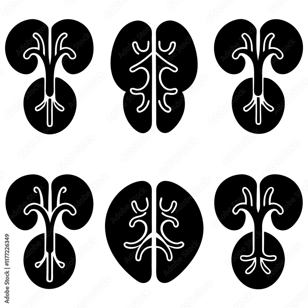 Variations of Kidney Anatomy Diagrams Stock Vector | Adobe Stock