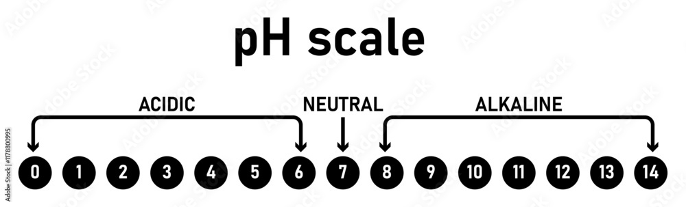 Image vectorielle Stock pH scale chart indicator diagram value acidic, neutral and alkaline ...
