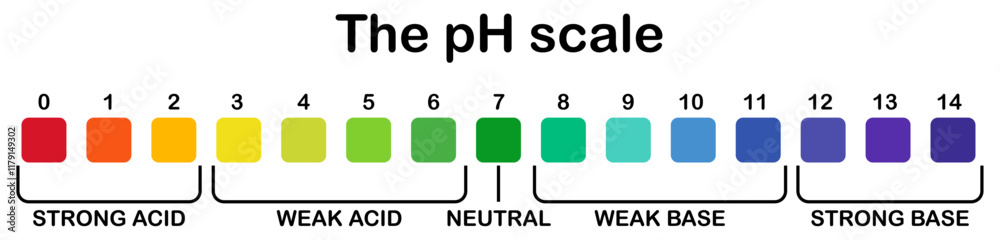 Image vectorielle Stock pH scale chart indicator diagram value acidic ...