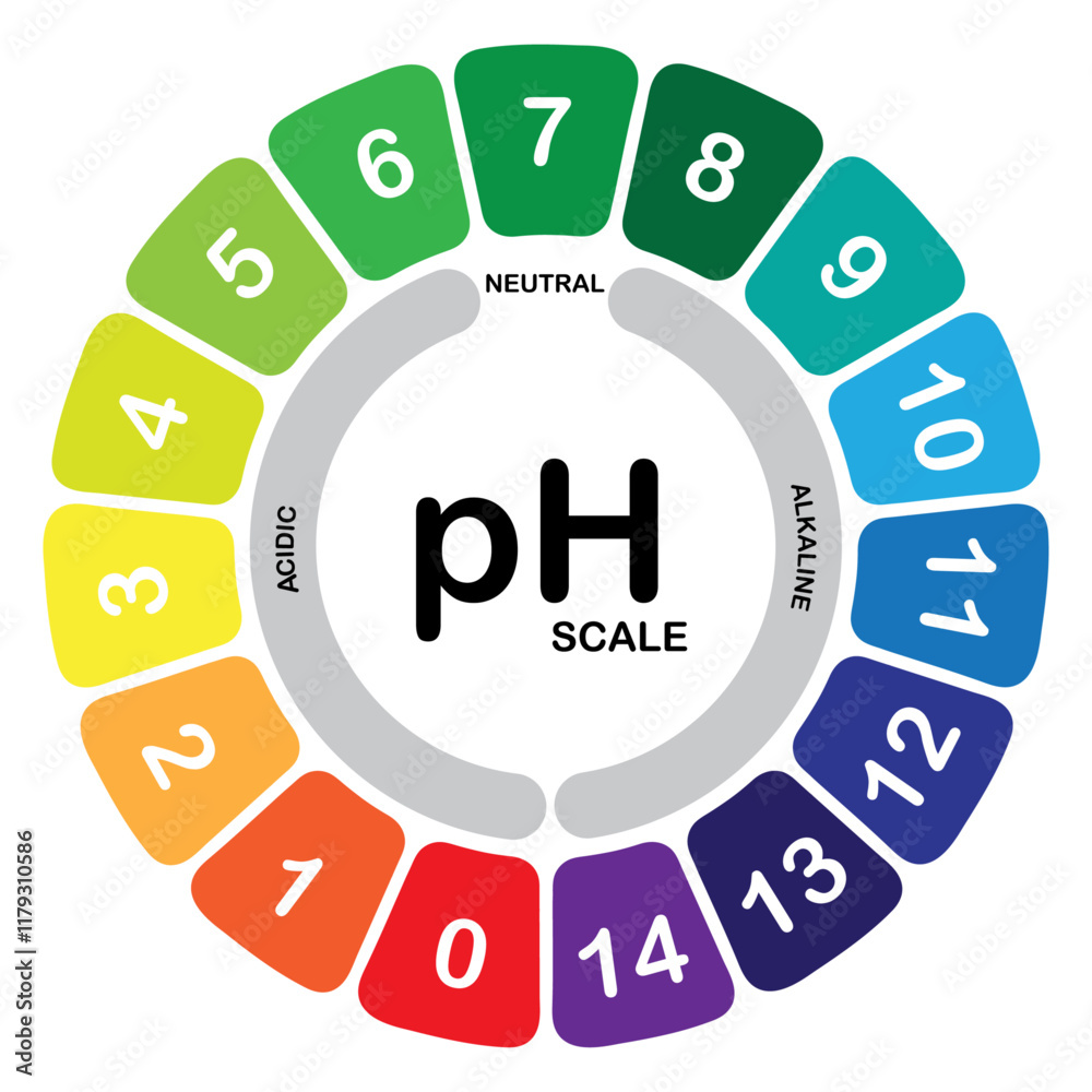 pH scale chart indicator diagram value acidic, neutral and alkaline ...