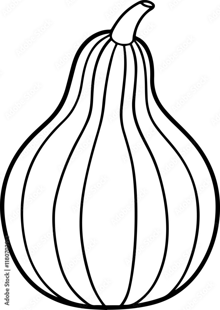 squash outline coloring book page line art vector illustration Stock ...