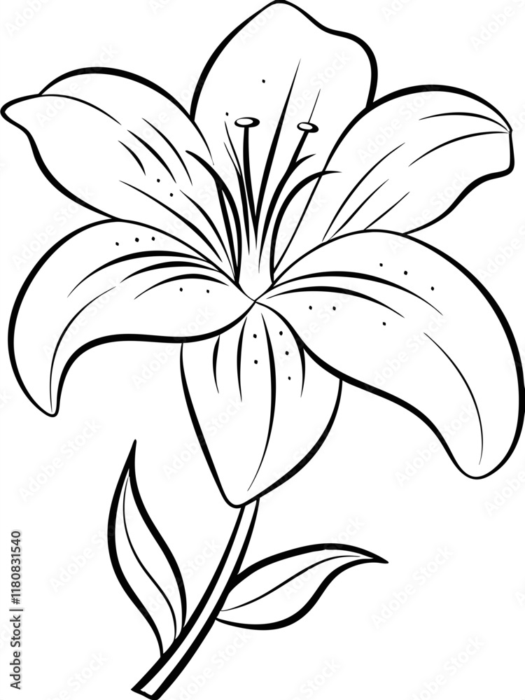 Lily Flower Drawing Ready-to-print coloring page on standard 8.5x11 ...