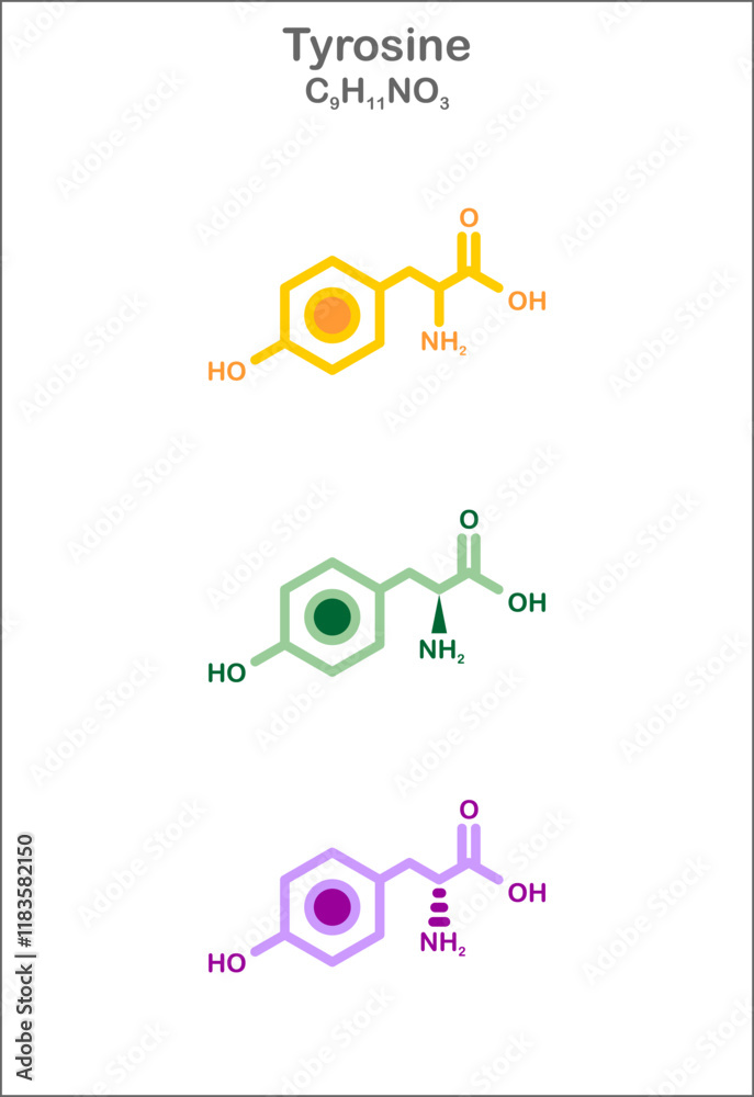 Tyrosine. Stylized structural formulas. Display of the unspecific ...