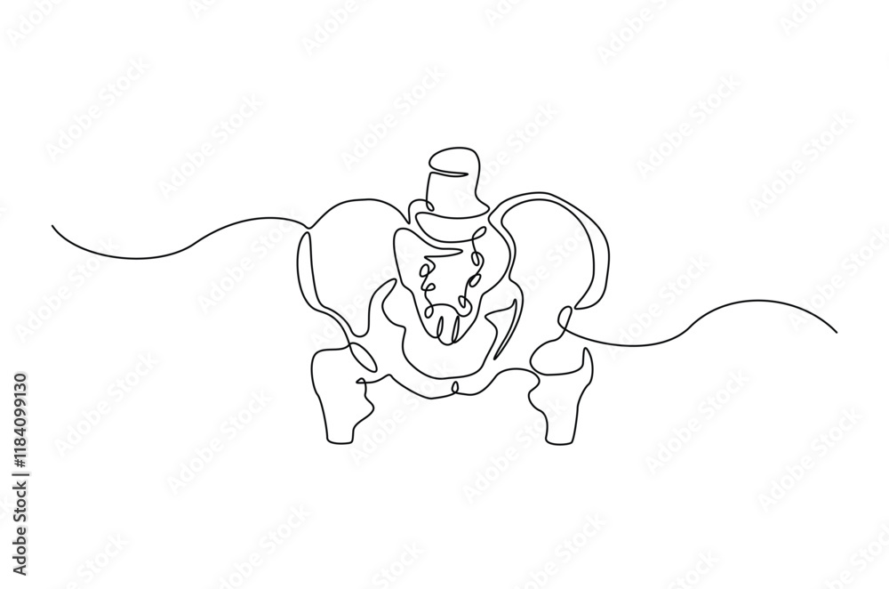 Human pelvic bone in continuous one line drawing. Anatomical structure ...