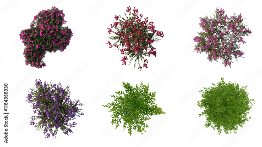 tree top view plant landscape architecture nature garden aerial render ...