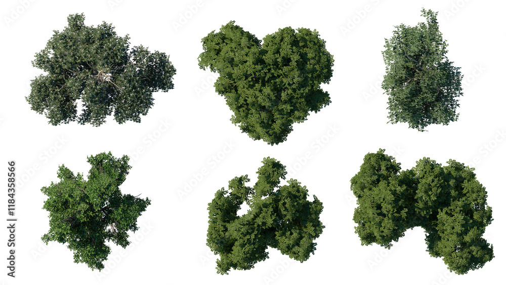 tree top view plant landscape architecture nature garden aerial render ...