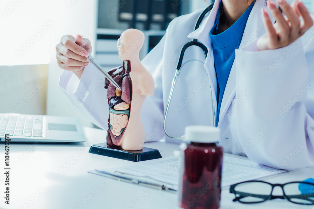 Foto de Stock Female doctor and anatomical model simulator of human ...