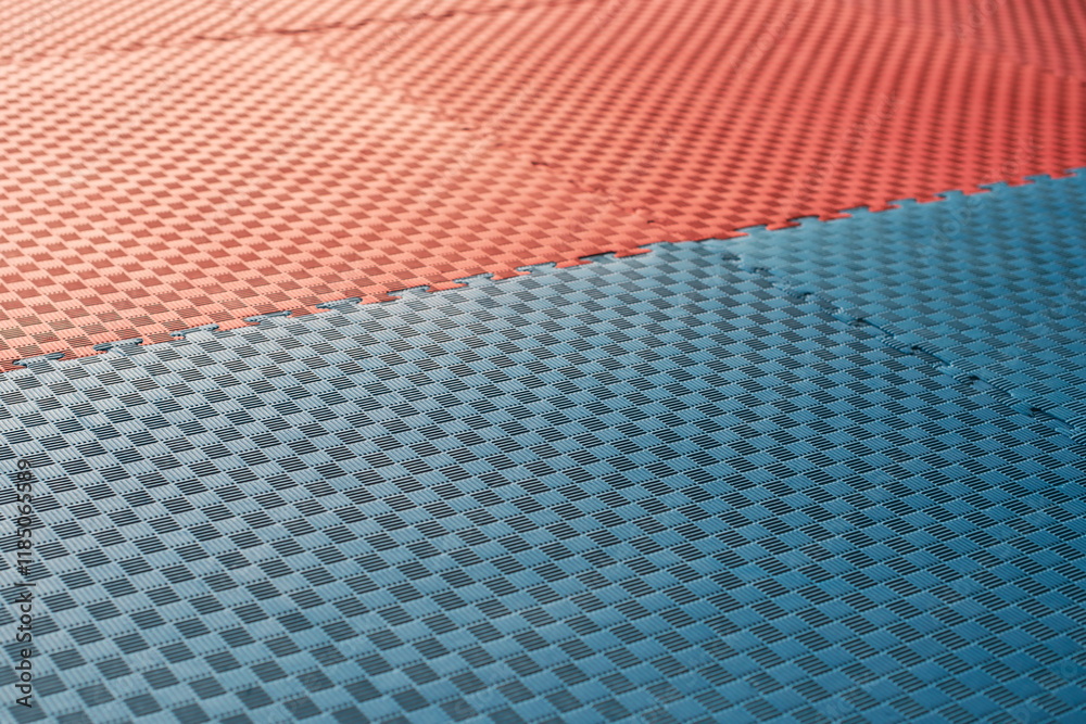Red and blue karate dojo. Foam puzzle mat for martial arts exercises ...