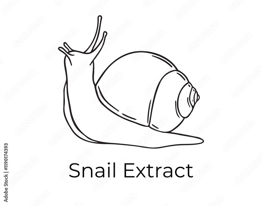 snail shell doodle hand drawn icon. Outline drawing snail shell organic ...