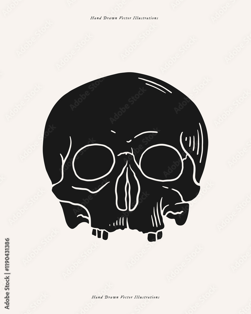 Hand-drawn illustration of a human skull in bold black lines on a light ...
