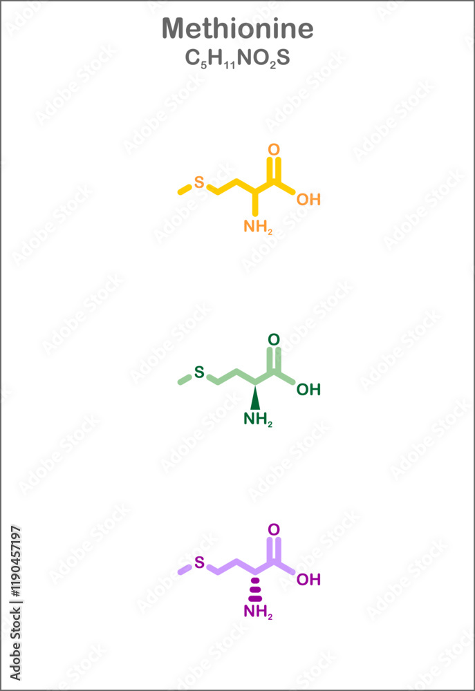 Methionine. Stylized structural formulas. Display of the unspecific-, L ...