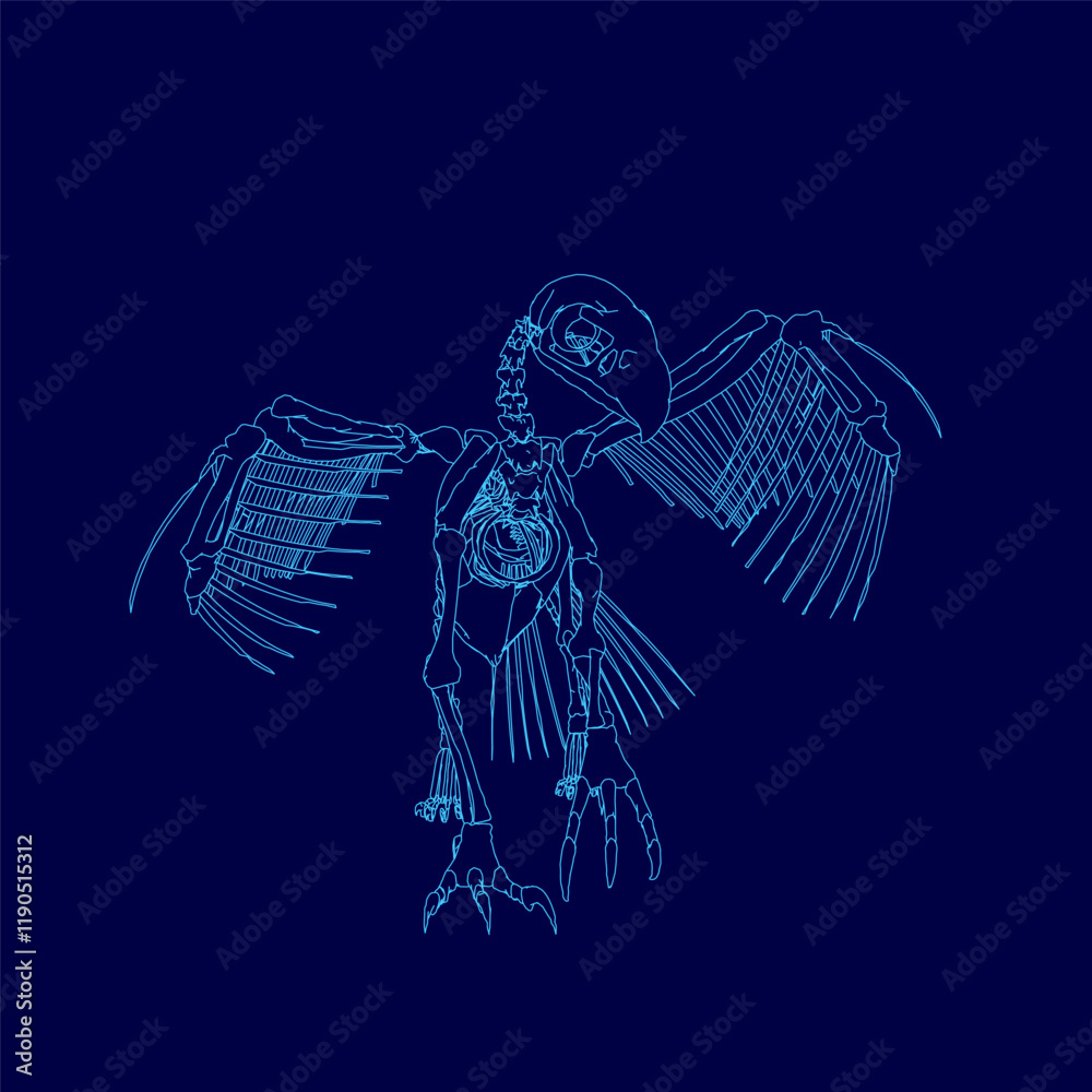 Blue drawing of a skeleton bird with its wings spread out. The skeleton ...