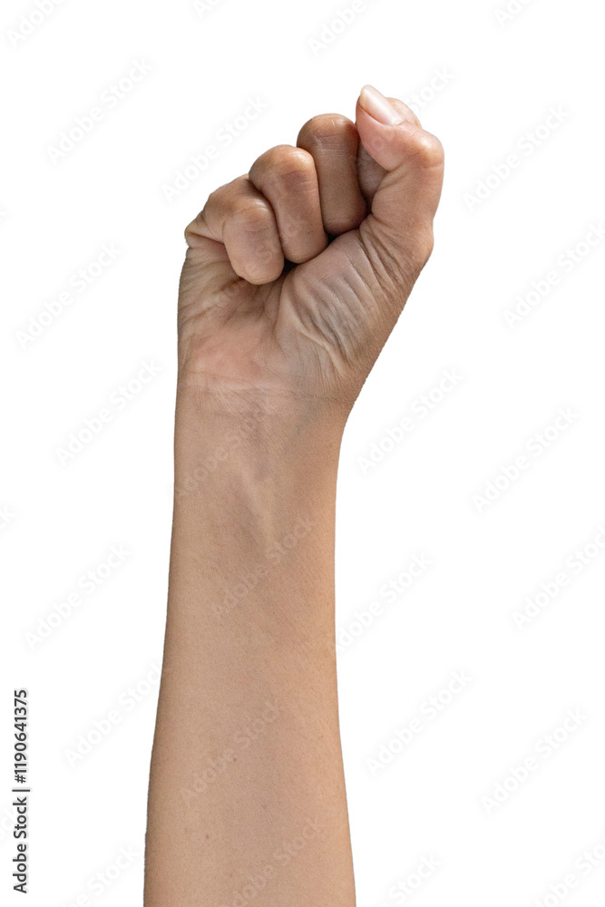 PNG Clenched fist raised upward firm strength a symbol of unity ...