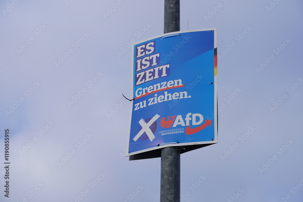 Wahlplakat der AfD zur Bundestagswahl 2025 in Potsdam am 12.01.2025 ...