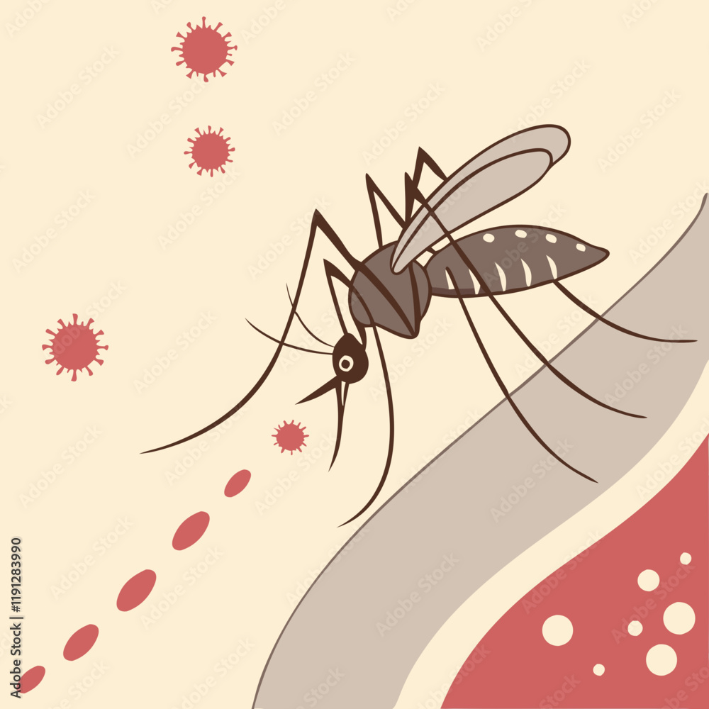 illustration of Zica virus aedes aegypti mosquito on human skin ...
