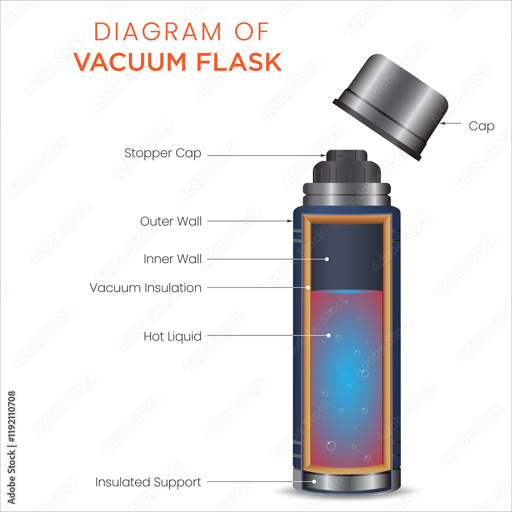 Diagram of a Vacuum Flask Illustration Showing Structure and Function ...