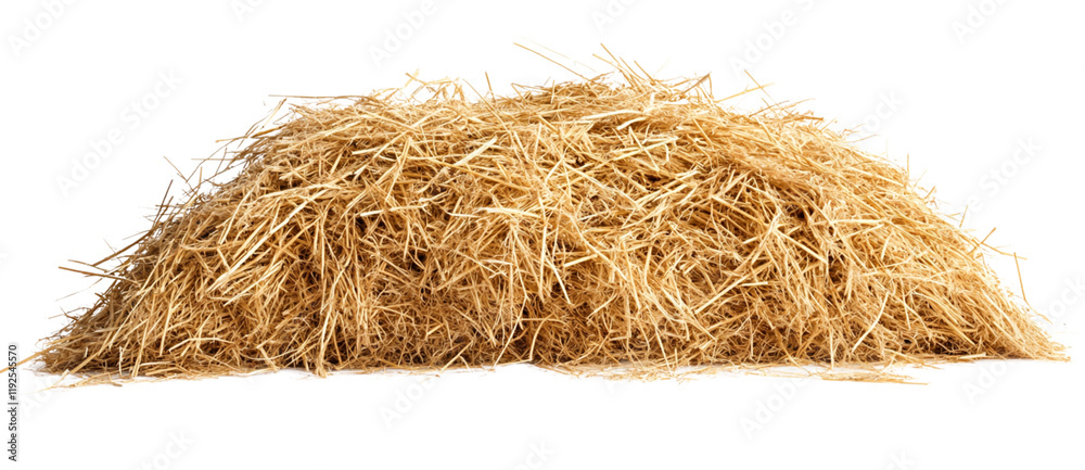 Pile of hay isolated on a white background Stock Illustration | Adobe Stock