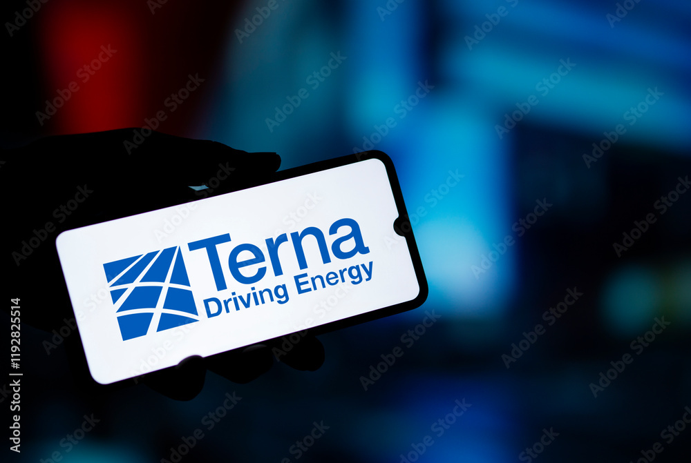 Dhaka, Bangladesh- 8 Jan 2025: Terna driving energy logo is displayed ...
