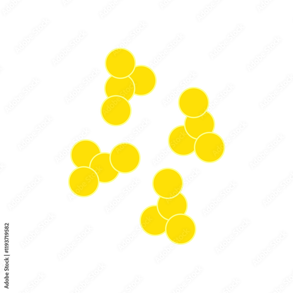 Vector de Stock Coccus Bacteria. Coccus morphology. Microbiology ...