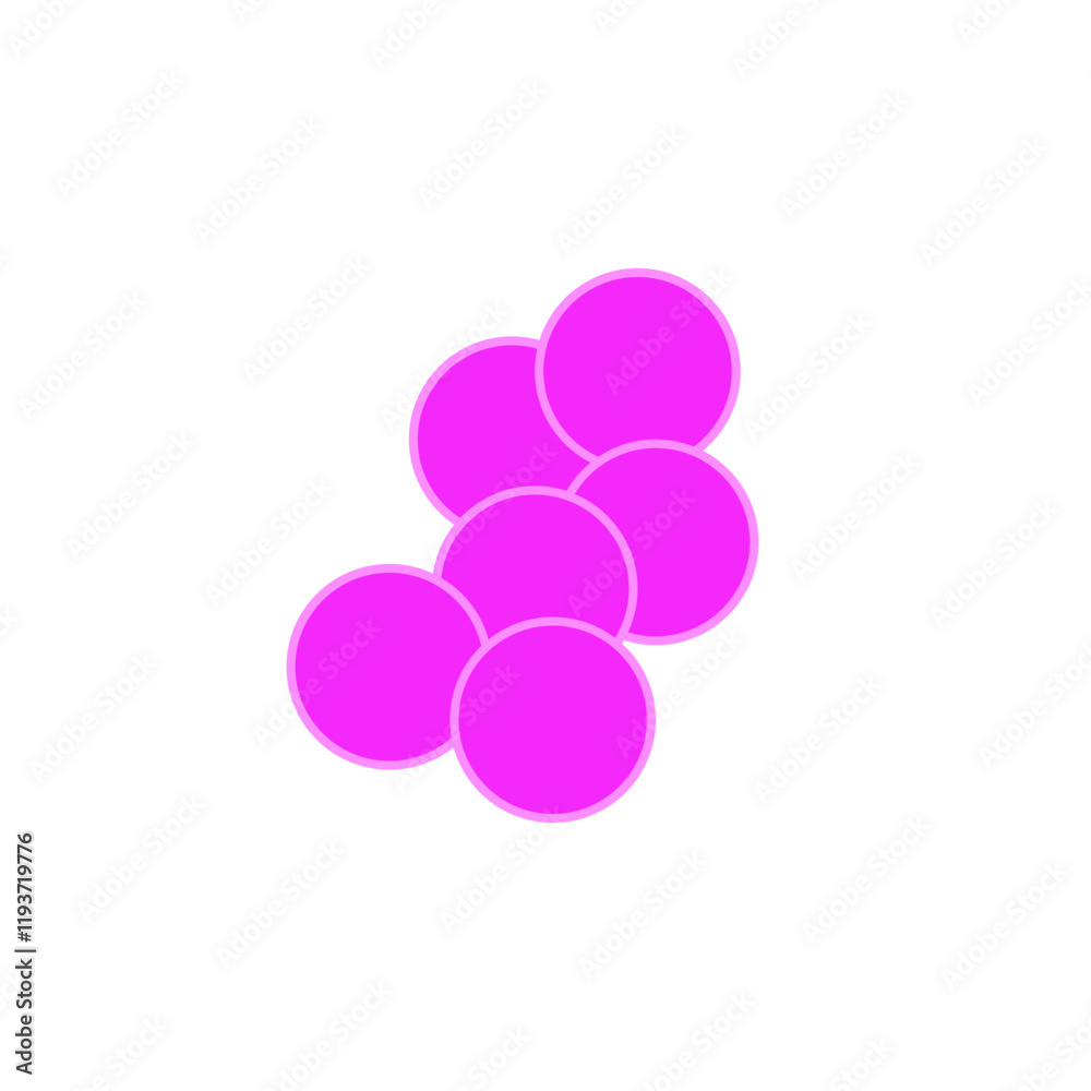 Vector de Stock Coccus Bacteria. Coccus morphology. Microbiology ...