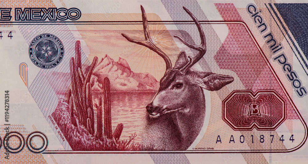 Mexico banknotes Mexico currency Mexico pesos bills Mexican peso money ...