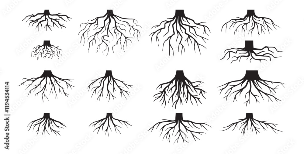 Various realistic tree roots, shrub roots. Parts of plant, root system ...